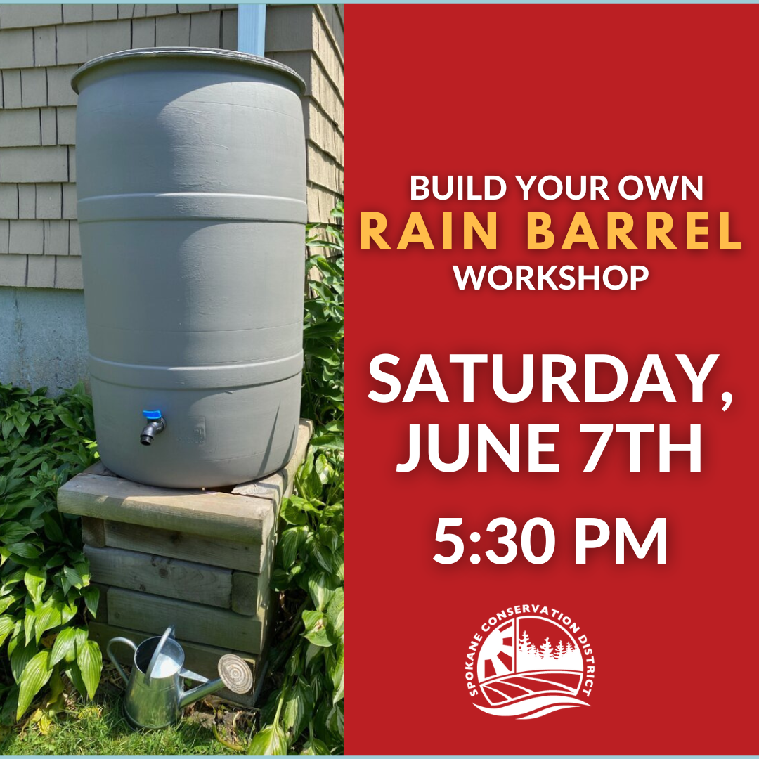 Rain Water Conservation – Spokane Conservation District