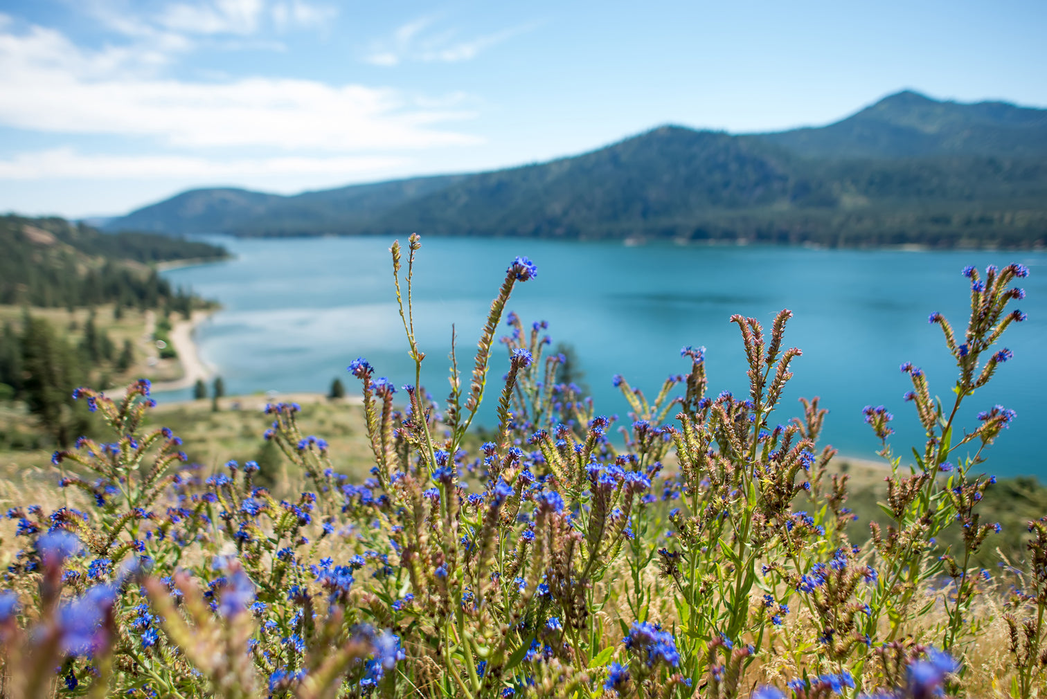 Educational Resources – Spokane Conservation District