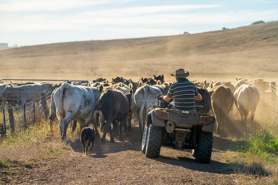 Livestock & Land – Spokane Conservation District