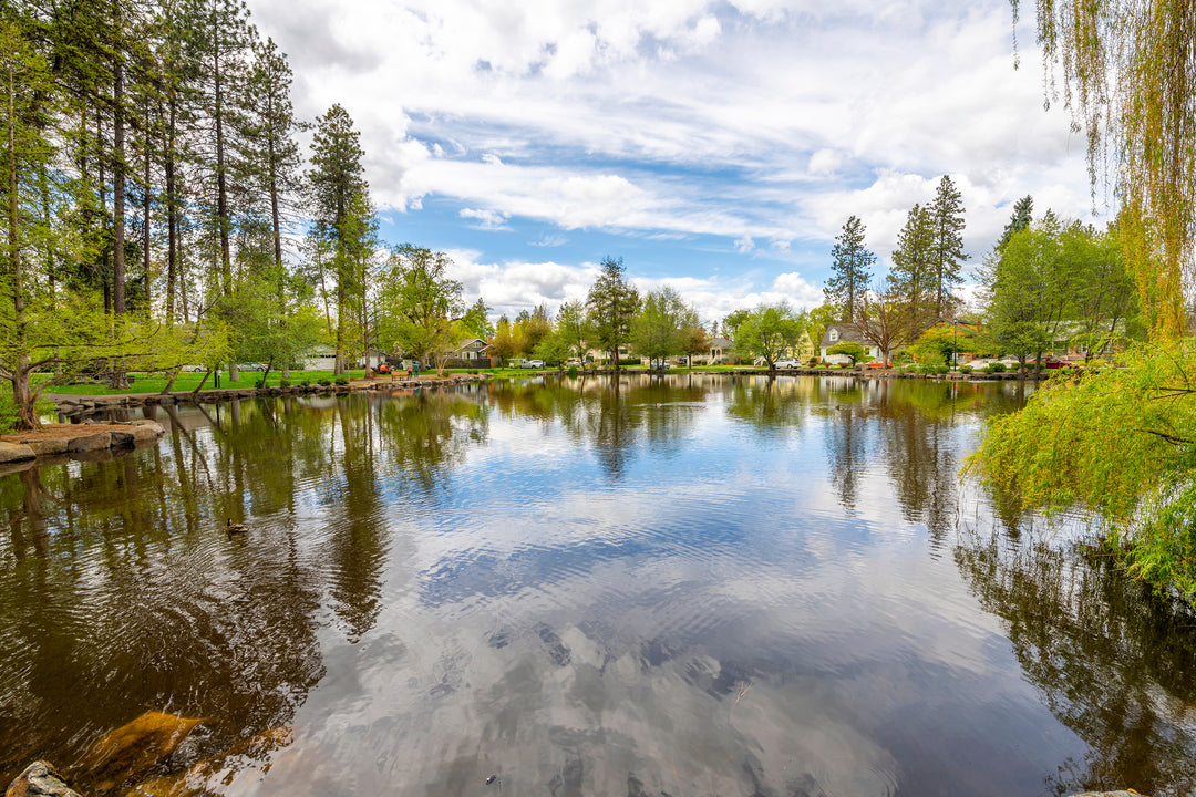 Community Forestry – Spokane Conservation District