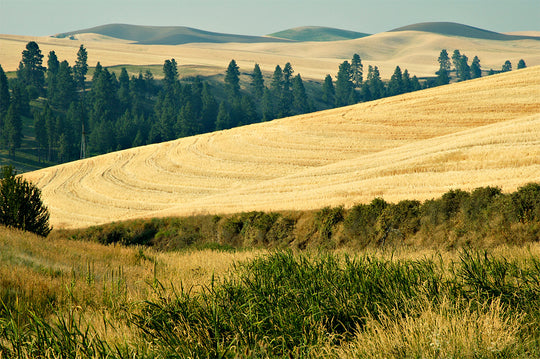 Farm & Food Resources – Spokane Conservation District